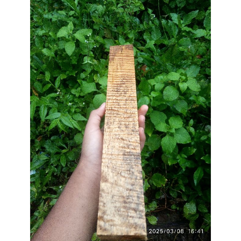Curly mango wood or curly mango measuring 30x5x3cm | Shopee Malaysia