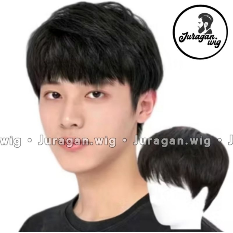 Full WIG KOREAN STYLE HAIR WIG MEN KOREAN MODEL | Shopee Malaysia
