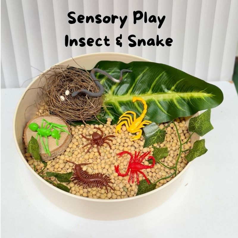 Insect & Snake sensory play / sensory toys / Miniature Insects ...