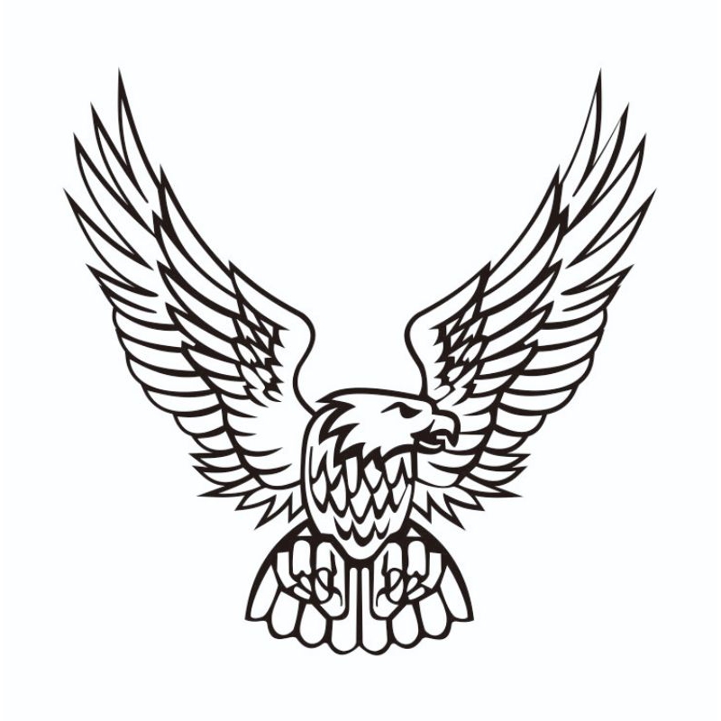 Car STICKER EAGLE CUTTING STICKER FRONT CAR HOOD STICKER REAR CAR ...