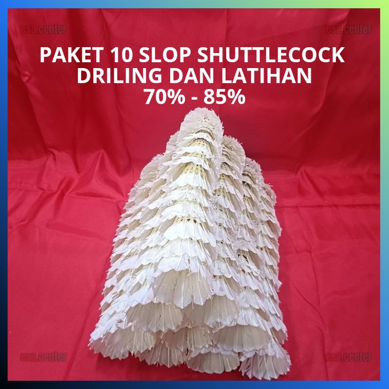 (10 DOZEN) Pack of 10 Used Shuttlecocks 65% Quality - 75% Quality ...