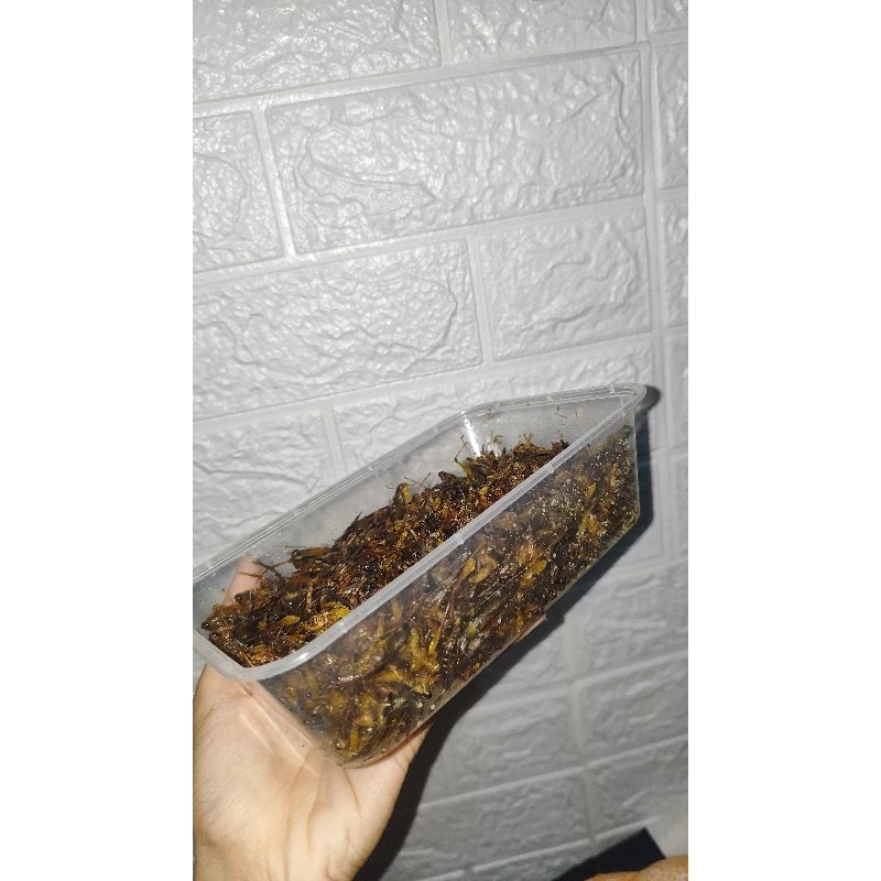 Original Flavored Fried Walang Without Seasoning / Fried Walang Utis ...