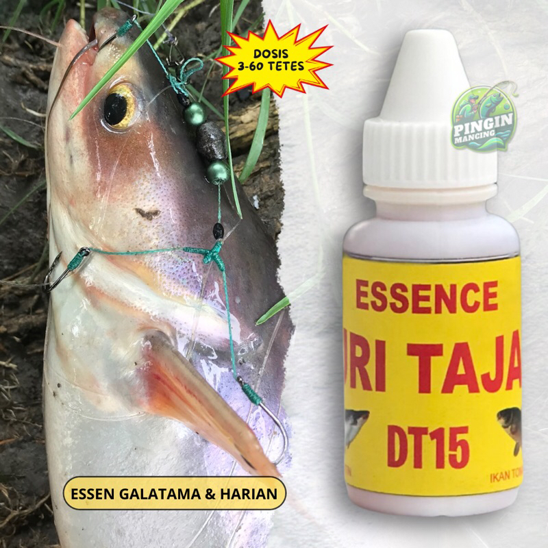 Fishing Bait Essence Sharp Thorns Fish Patin Mas Tombro Pomfret Gourami ...