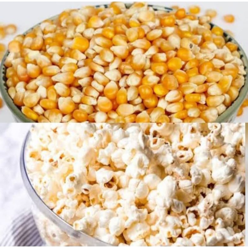 Original POPCORN CORN CONTENTS 100 GRAMS PREMIUM QUALITY | Shopee Malaysia
