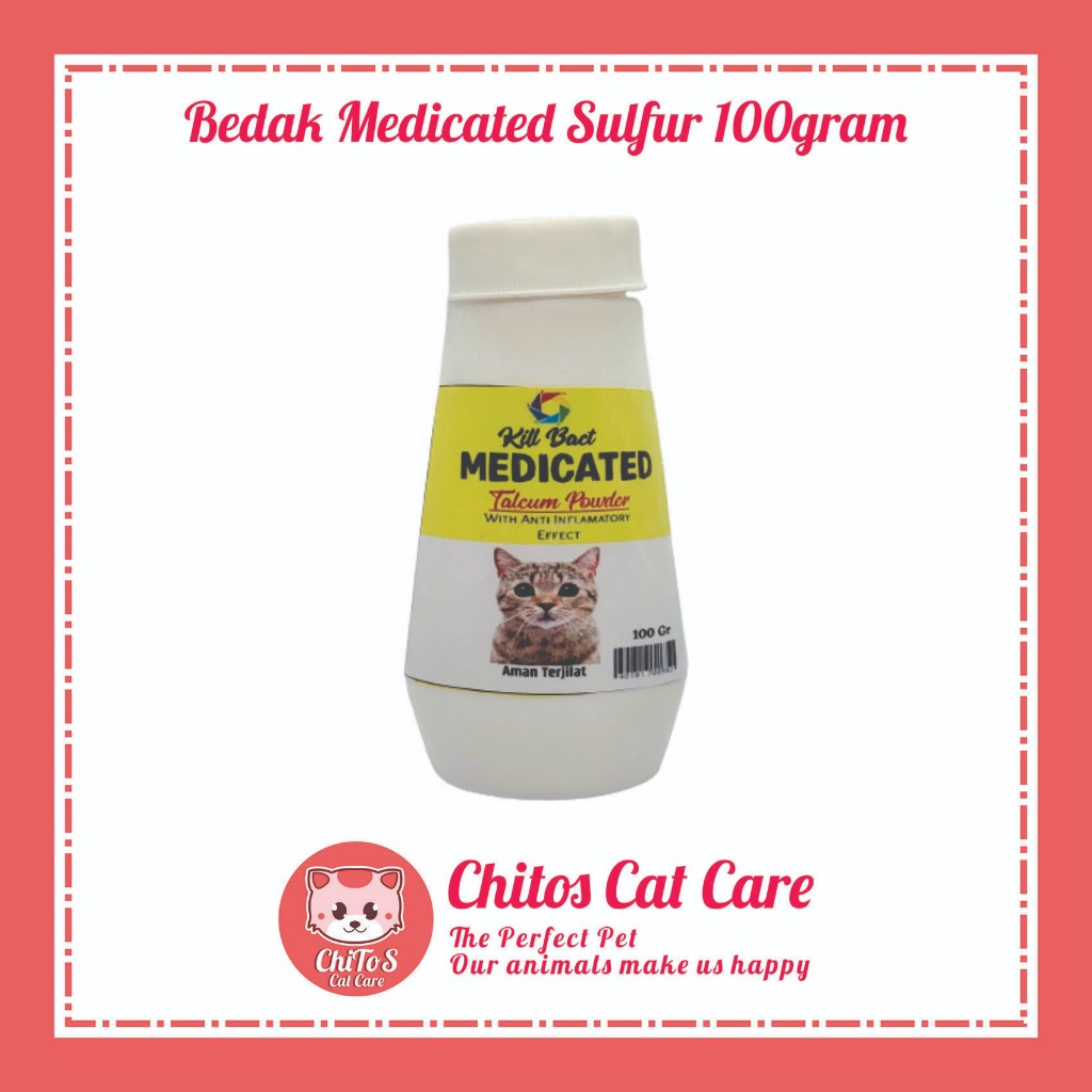 CAT ANTI-FUNGAL POWDER ANTI-FUNGAL POWDER KILL BACTERIA ANTI FUNGI ANTI ...