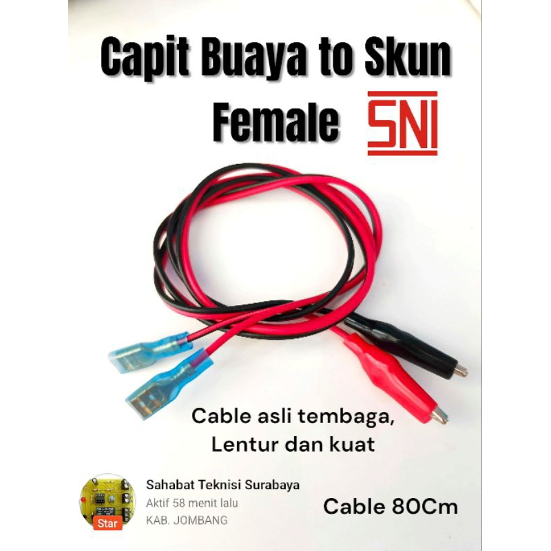 Crocodile claw cable to Skun Female | Cable claw to Skun Female ...