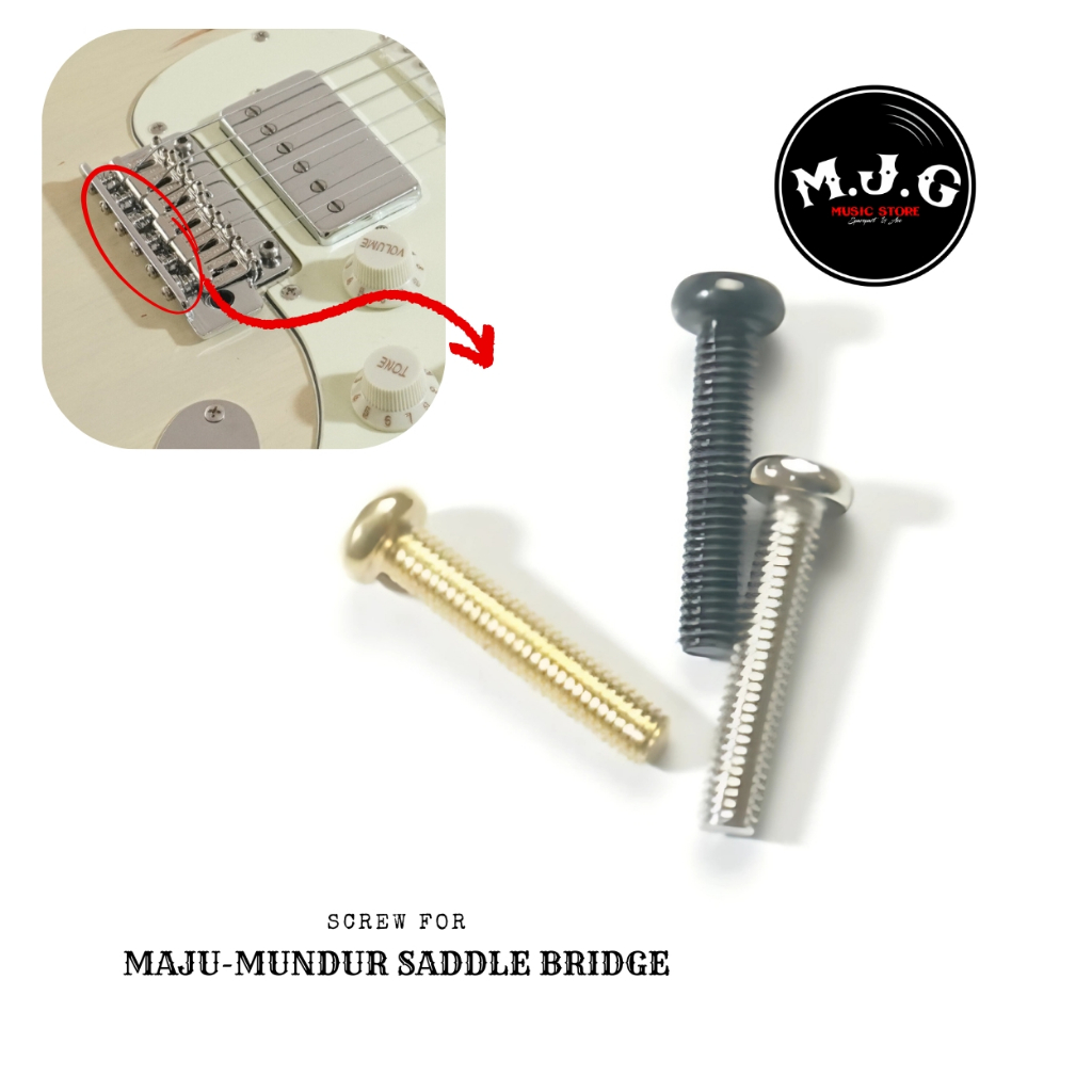 Screw bolts for installation lock saddle bridge tramolo semi updown ...