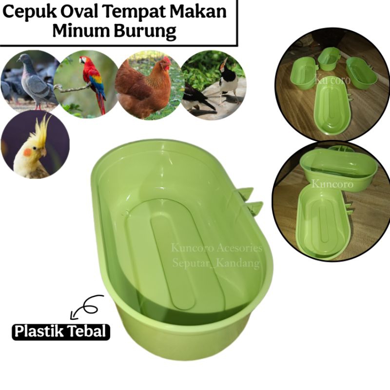 Cepuk Oval Feeding and Drinking Place for Birds Chickens Poultry Cepuk ...