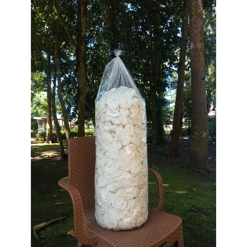 5 Kg CASSAVA OPAK BUSINESS PACKAGE / RAW CASSAVA OPAK / CASSAVA OPAK ...
