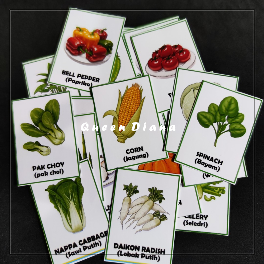 Photo vegetable stickers, stickers with pictures of various vegetables ...
