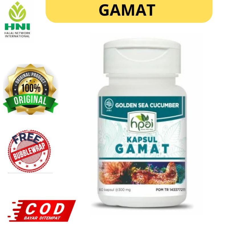 Gamat Capsules Golden Sea Cucumber Extract HNI HPAI Relieves Joint Pain ...