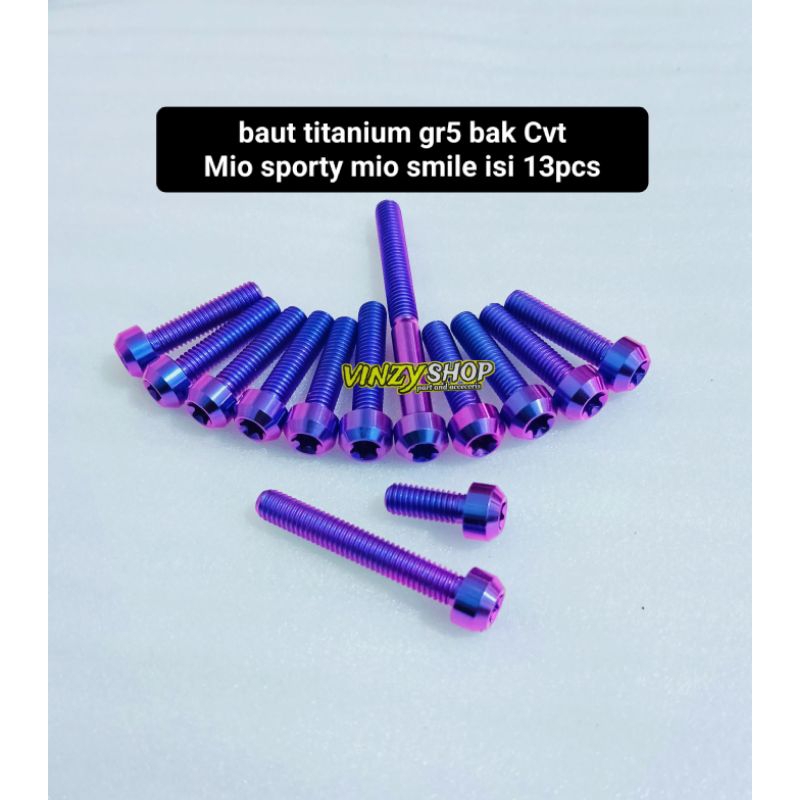 Mio SPORTY MIO SMILE CVT TUB BOLT contains 13 pcs Titanium gr5 | Shopee ...