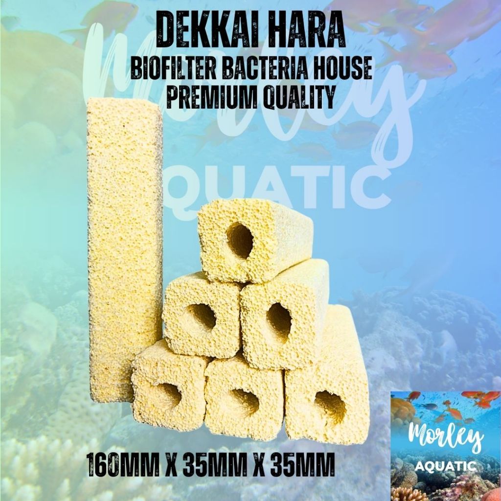 Dekkai HARA MOMOGI BIO FILTER BACTERIA HOUSE / BIO BLOCK / BACTERIAL ...