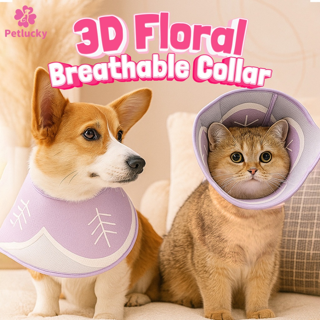 PetLucky E-Collar Soft Waterproof Sterile Wound Collar Dog Cat Cone ...