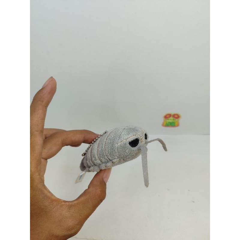 Original Japanese isopod isopoda doll | Shopee Malaysia