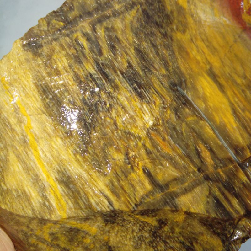 Natural Sumatran Tiger Feather Motif Stone | Shopee Malaysia