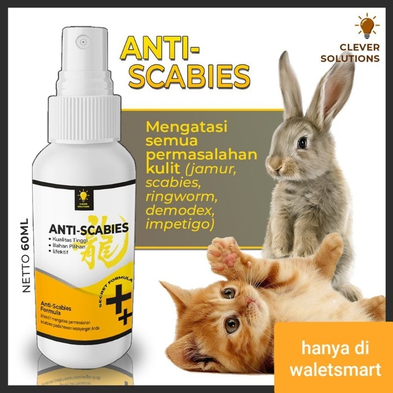 MERAH ANTI SCABIES Flea Fungus Medicine for Cats Rabbits Scabies ...