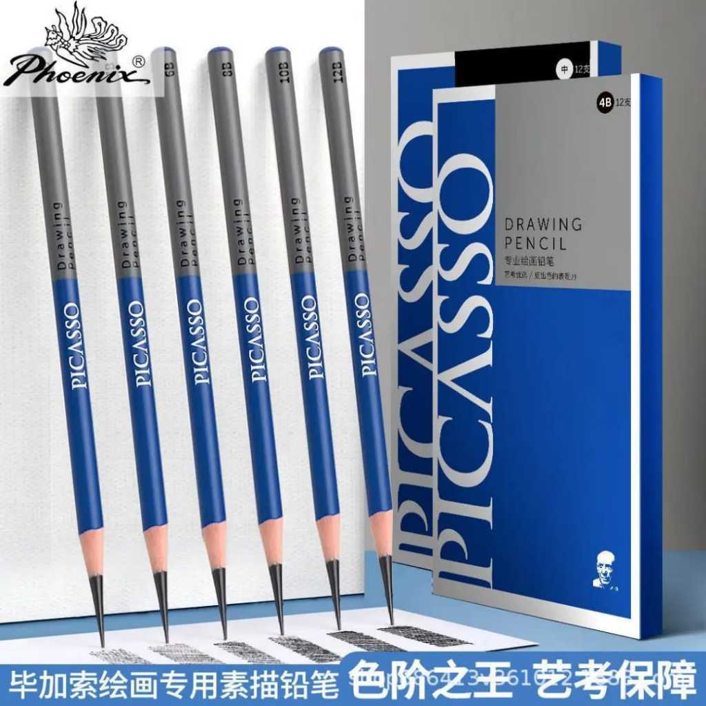 PICASSO Drawing Pencil Unit 8B 12B 16B - Professional Sketch Drawing ...