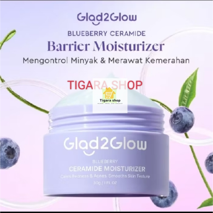 Glad2glow G2G Blueberry Moisturizer Moist 30gr Day and Night Cream ...