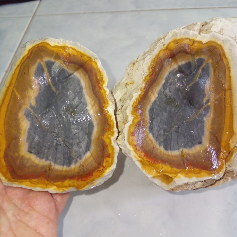 Natural Dragon Scale Stone with Unique Motif | Shopee Malaysia