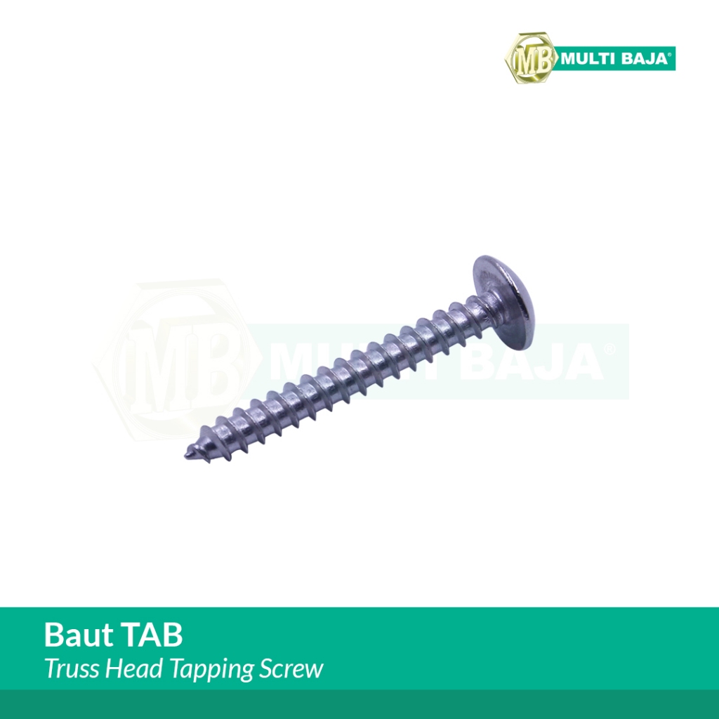 304 Stainless Steel TAB Screw M5 x 25 (Tapping Screw) | Shopee Malaysia