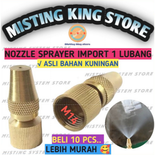 NOZZLE SPRAYER BRASS STRAIGHT 1 HOLE HEAD SPRAY NOZLE SPUYER APOLLO ...