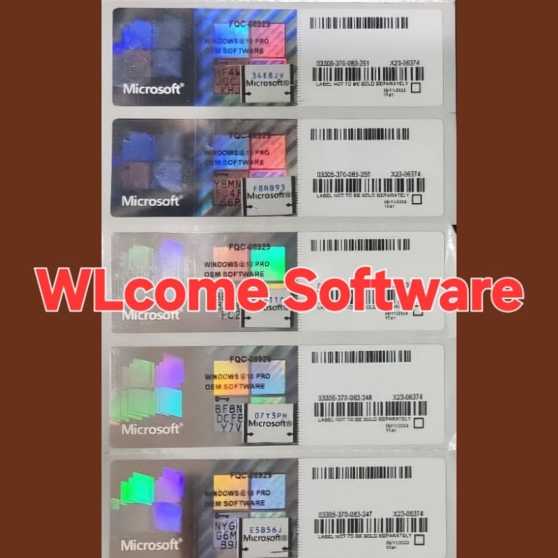 10pro - win 10 Pro Sticker (without installer) Lifetime (Can Upgrade ...