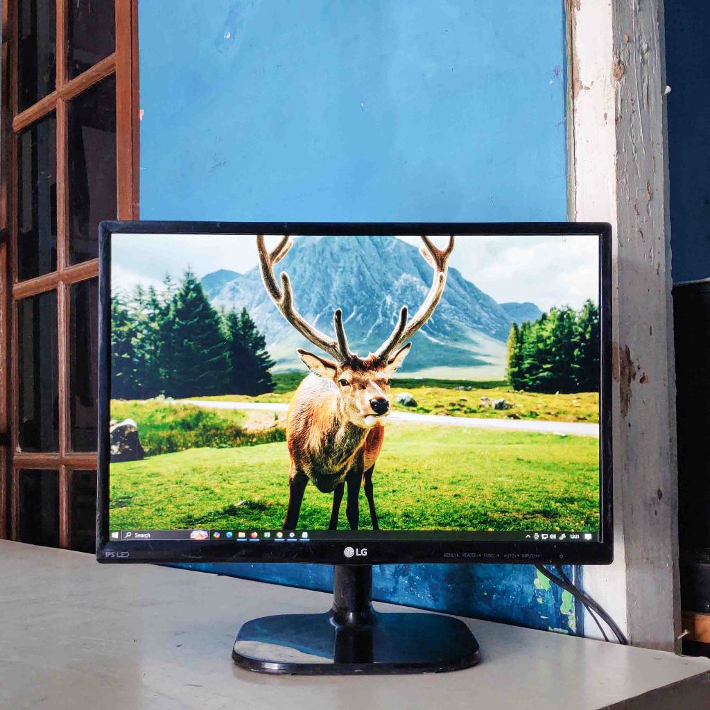 LG Brand Monitor 20MP48A IPS Led 20 Inch HD+ Plus Wide Normal Condition ...