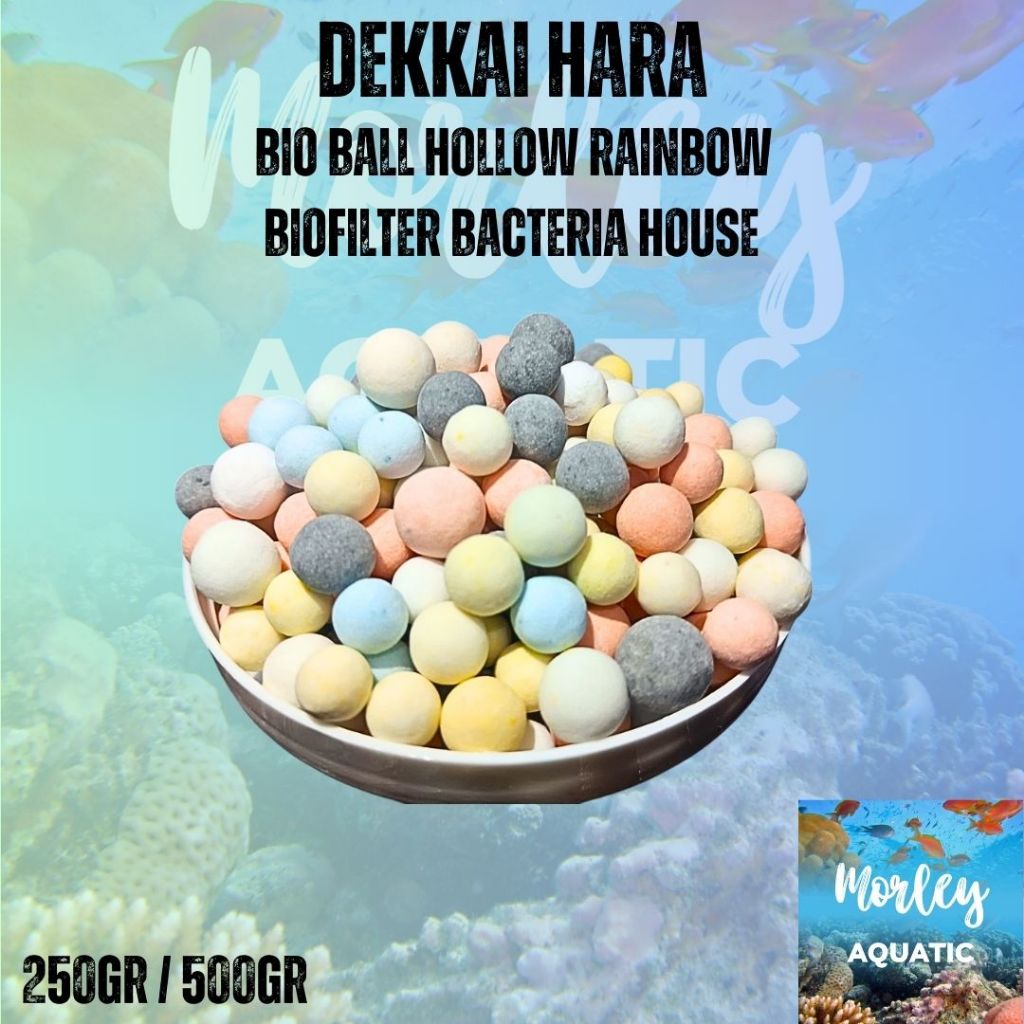 Dekkai HARA HOLLOW BIO BALL RAINBOW BACTERIA HOUSE / BIOFILTER MEDIA ...