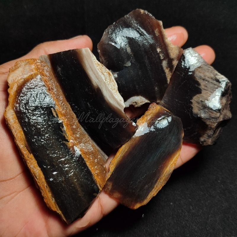 KAYU Natural crystal moringa posil stone / crystal wood posil / moringa ...