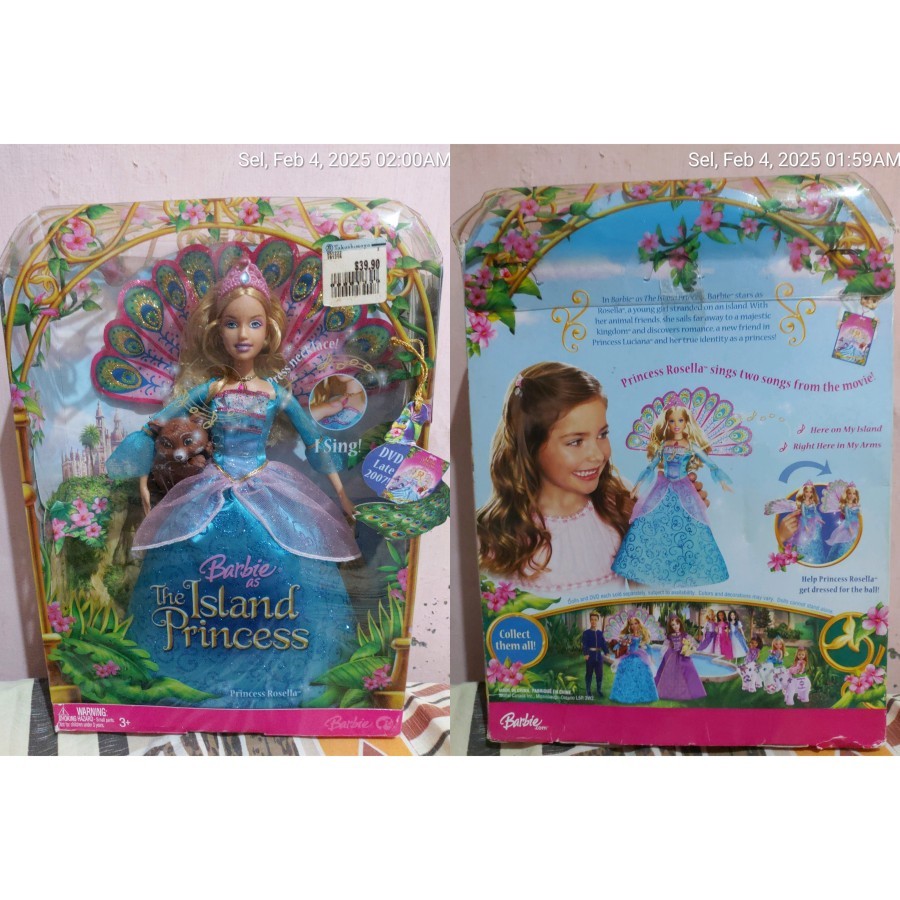 Barbie odet lumina fairytopia prince charm school rosella the island ...