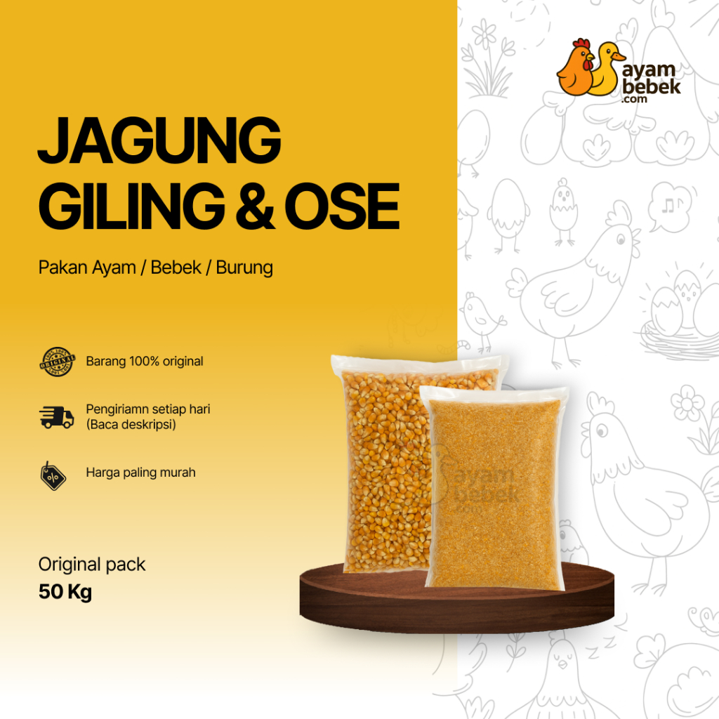 GROUND CORN AND DRY OSE CHICKEN FEED DUCK/ BIRD/ - 500 grams | | Shopee ...