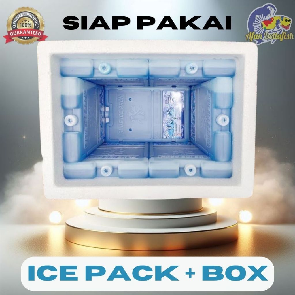 Ice Pack Medium Box + BM Medium Styrofoam Box / Ice Cream Box / Fish ...
