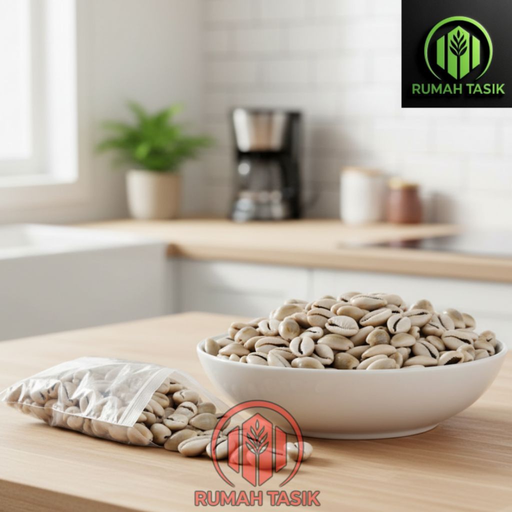 Original Shell Seeds Congklak Seed/ Kuwuk/ Bekel Seed/ | Shopee Malaysia