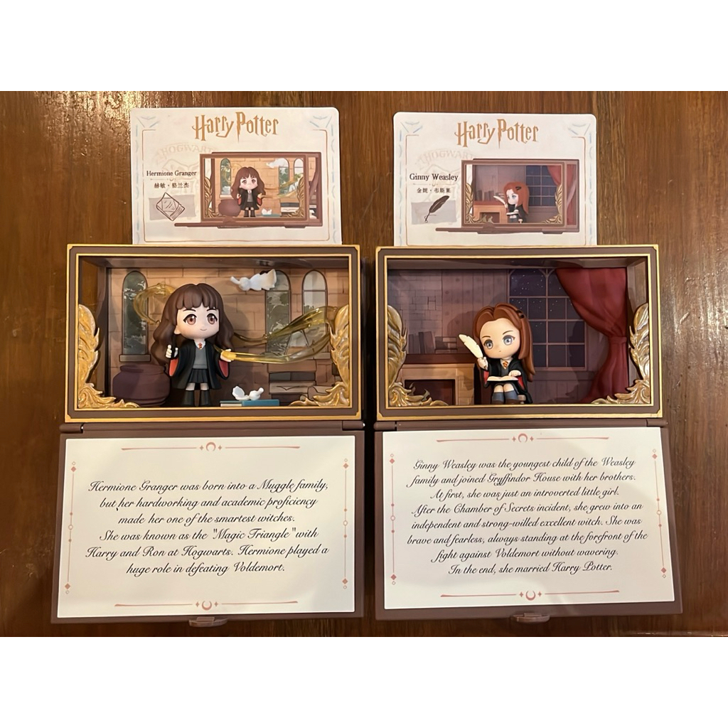 Hogwarts Biographic Pop Mart | Shopee Malaysia