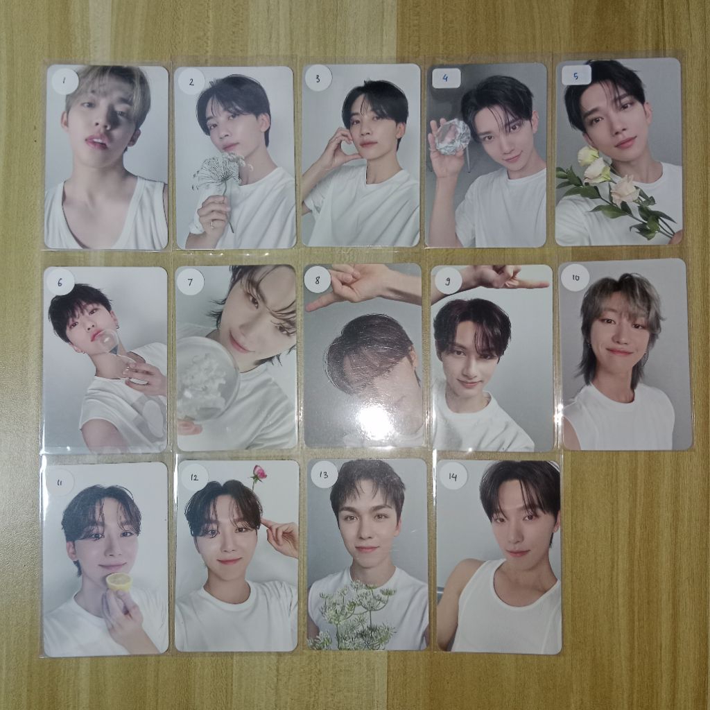 (READY INA) Photocard Official Seventeen Selca/ RPC Album 17 Right Here ...
