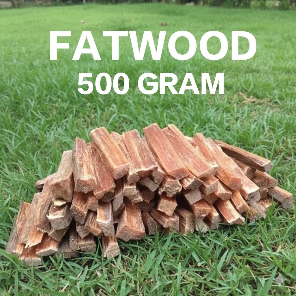 [500 grams] Fatwood/fire starter/bushcraft Fire Starter Survival ...