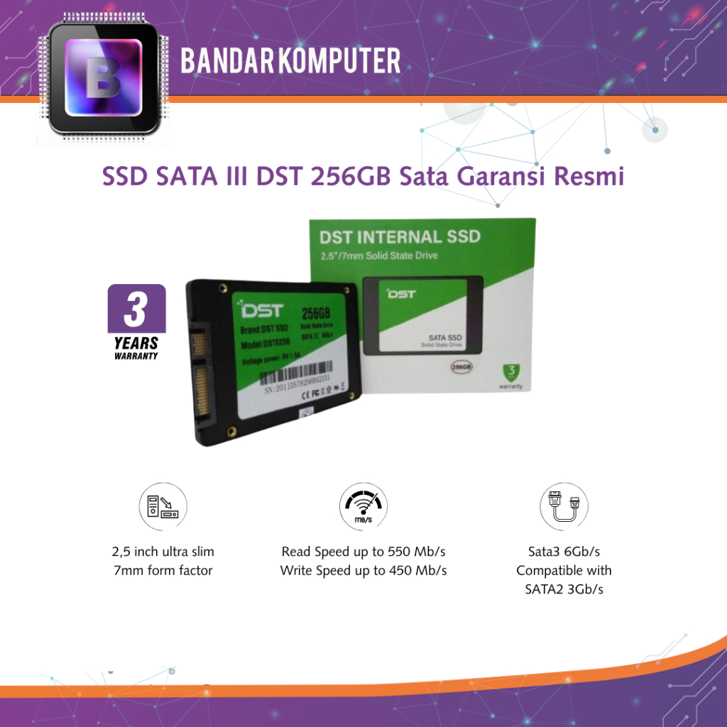 SSD SATA III DST 256GB Sata Official Warranty | Shopee Malaysia