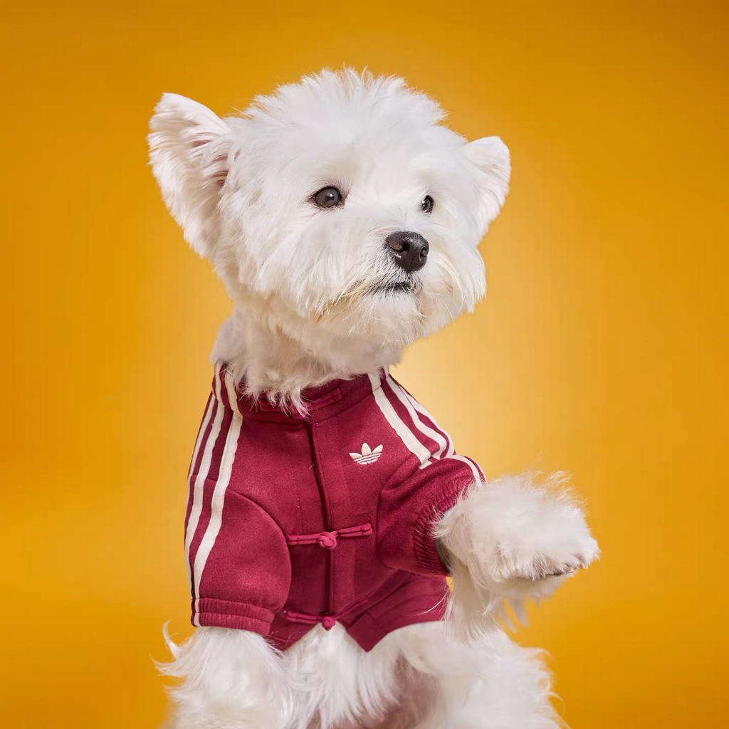 Ootdboelu - Adidas Cheongsam Jacket Anabul ORIGINAL Dog Cat Clothes ...