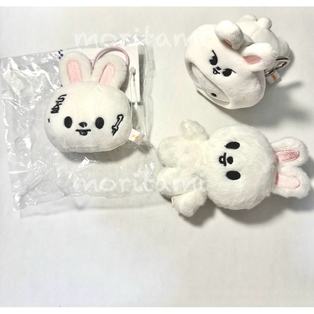 Leebit Name TAG Holder Karma Pop Up Store Micro Keyring Wolfchan Stray ...