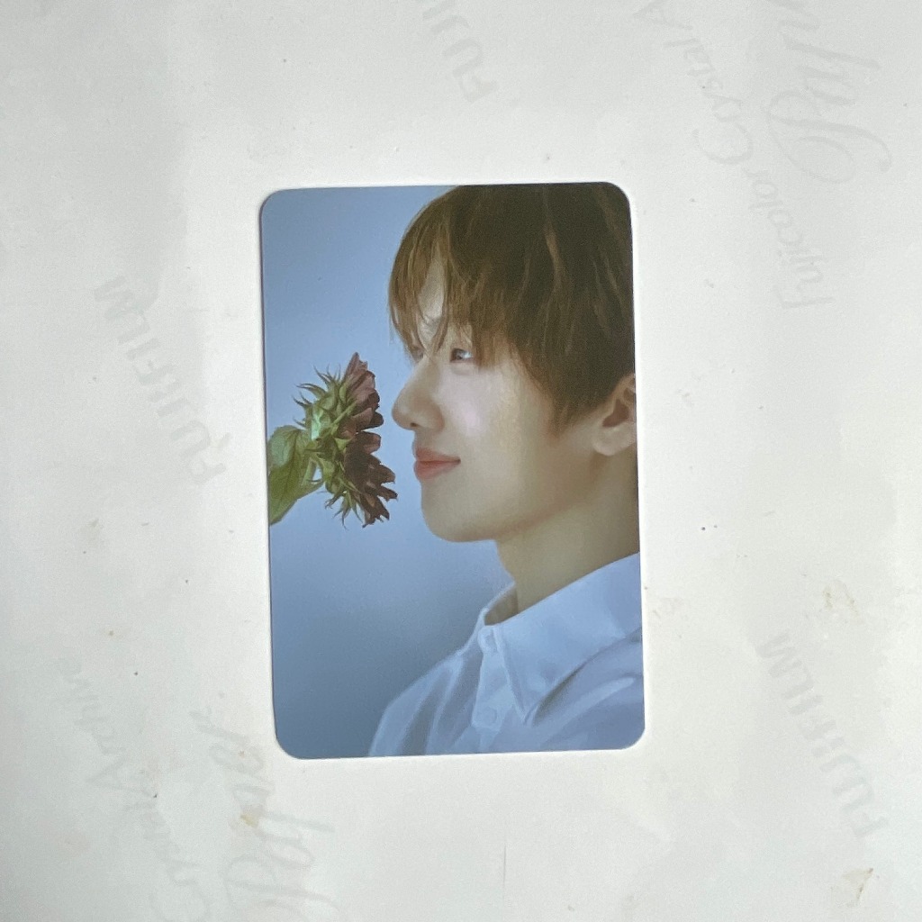 Pc Jisung NCT Dream random card pack starry daydream DAY dream have a ...