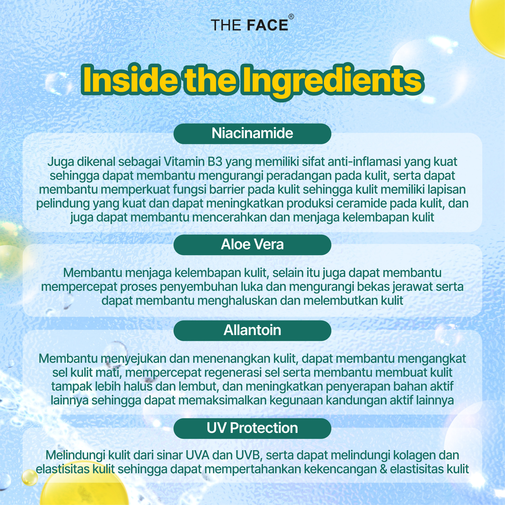 THE FACE Temulawak Acne Package - Facial Treatment Package | Shopee ...