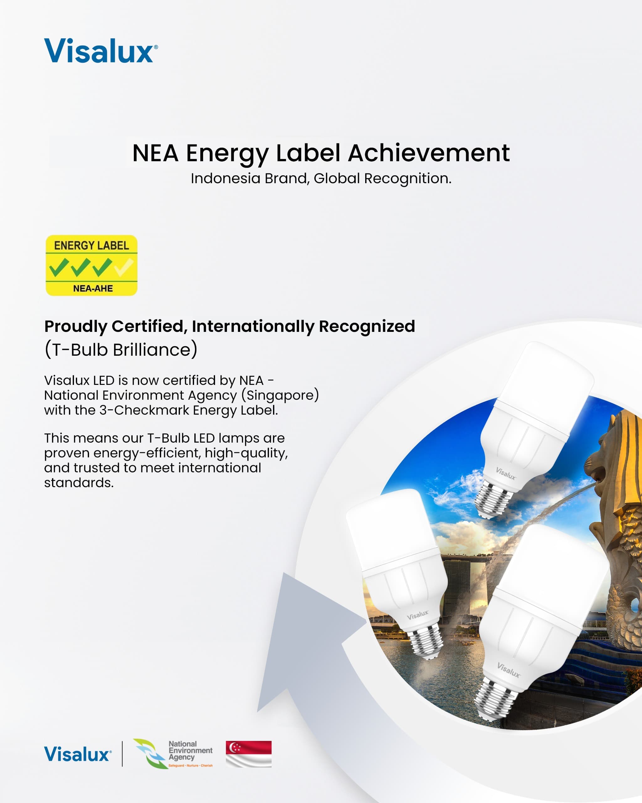 Visalux LED Lamp T-Bulb Brilliance 6500K Daylight White 50W - Bundling ...