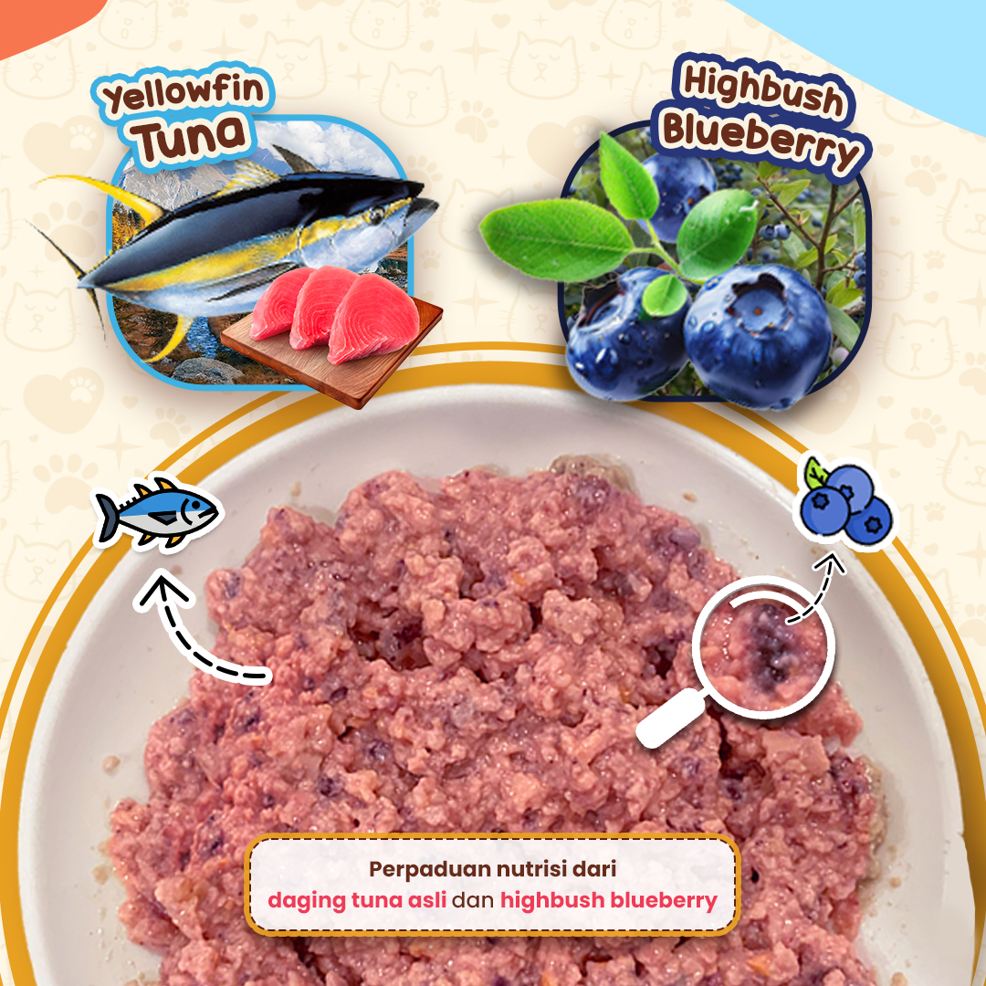 MATA Olive Care SINGLE CREAMY TREATS 16gr UP SIZE Yellowfin Tuna ...