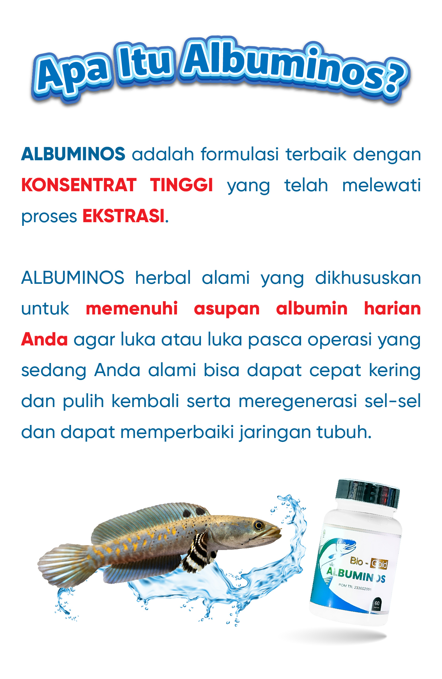 Package OF 2 BOTTLES - ALBUMINOS Snakehead Fish Capsules To Help Post ...