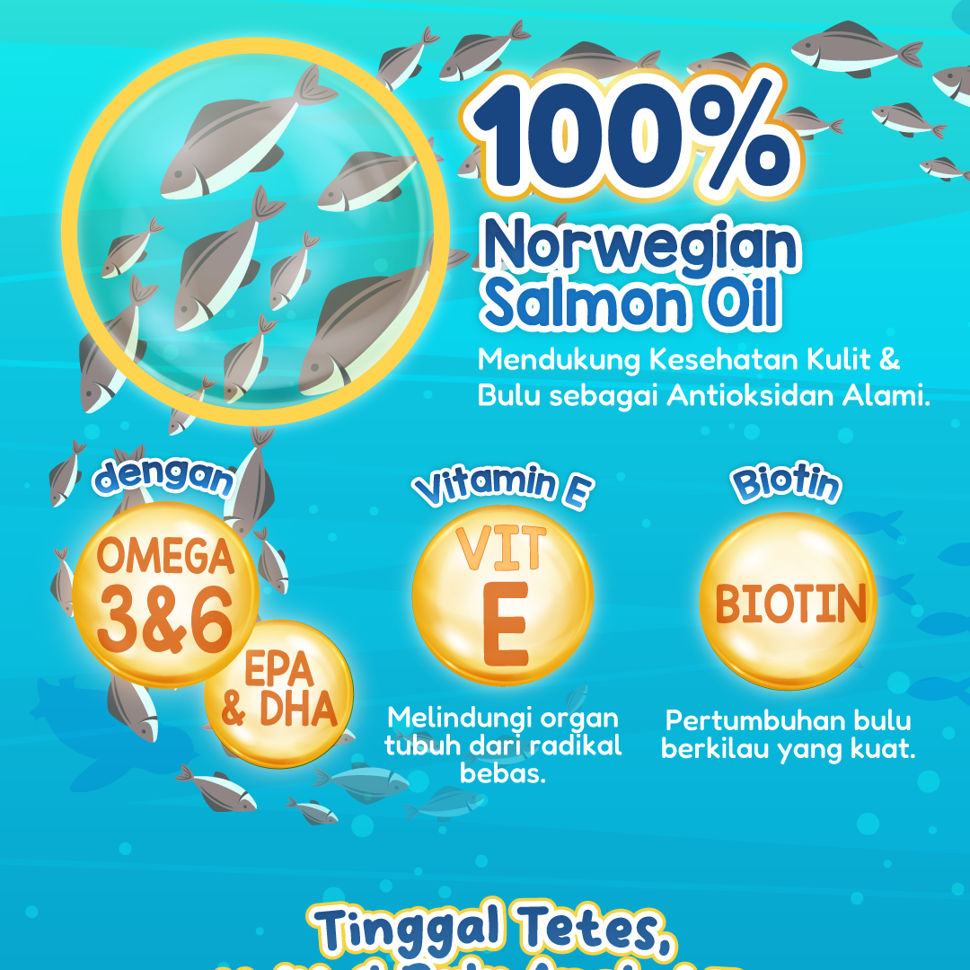 [Buy 2 Get 1 Free] Dewarangga Omega Drops Cat Salmon Oil, Cat Fish Oil ...