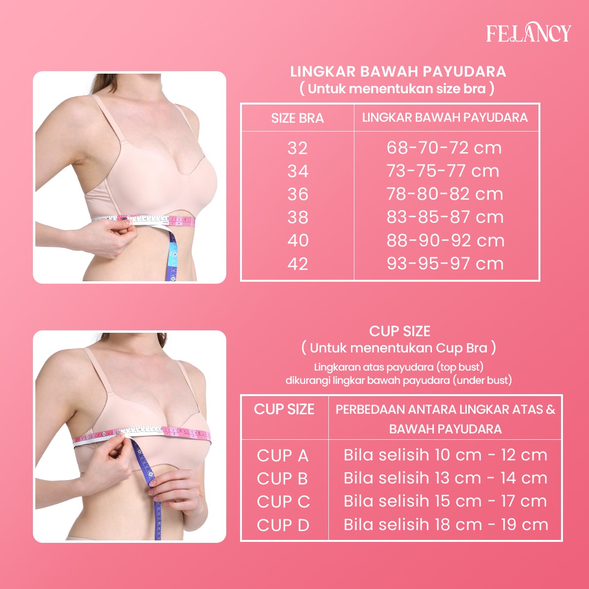 Felancy Bra Summer Lace Full Cup C 072-1064C | Shopee Malaysia