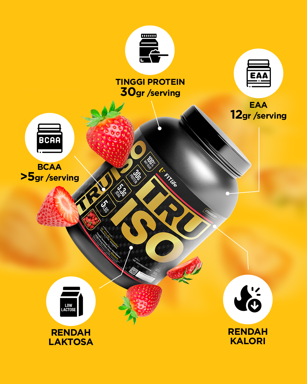 Fitlife Truiso Whey Protein Isolate 2lbs/900gr (WPro Iso Upgraded ...