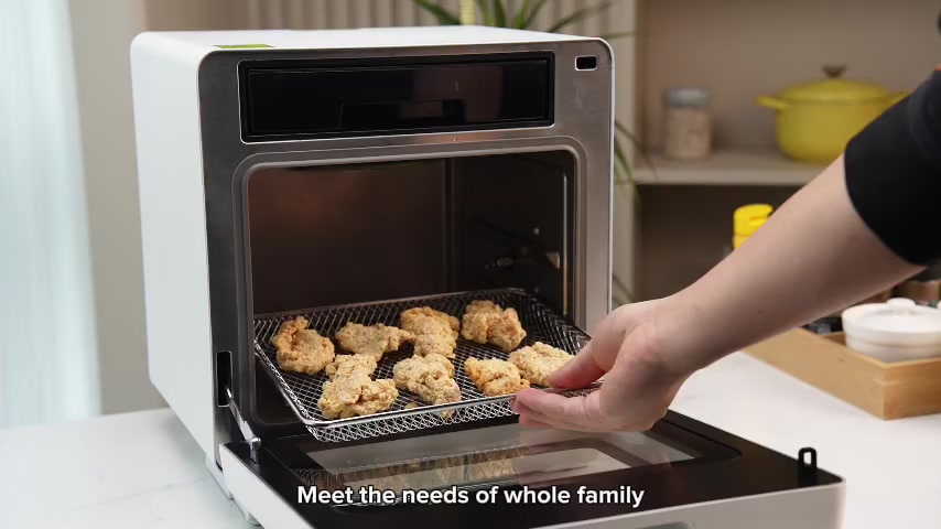 TJean Steam Oven Multifunctional Household Steam Air fryer Oven Steamer ...