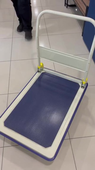 TTF Rack™ (KMT Series) KOMADA 300KG Foldable Handle Platform Trolley ...